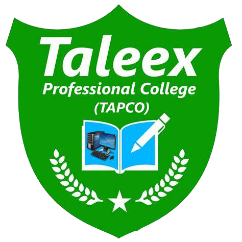 Trusted ICT & Technology Solutions Provider in Somalia | Taleex ICT